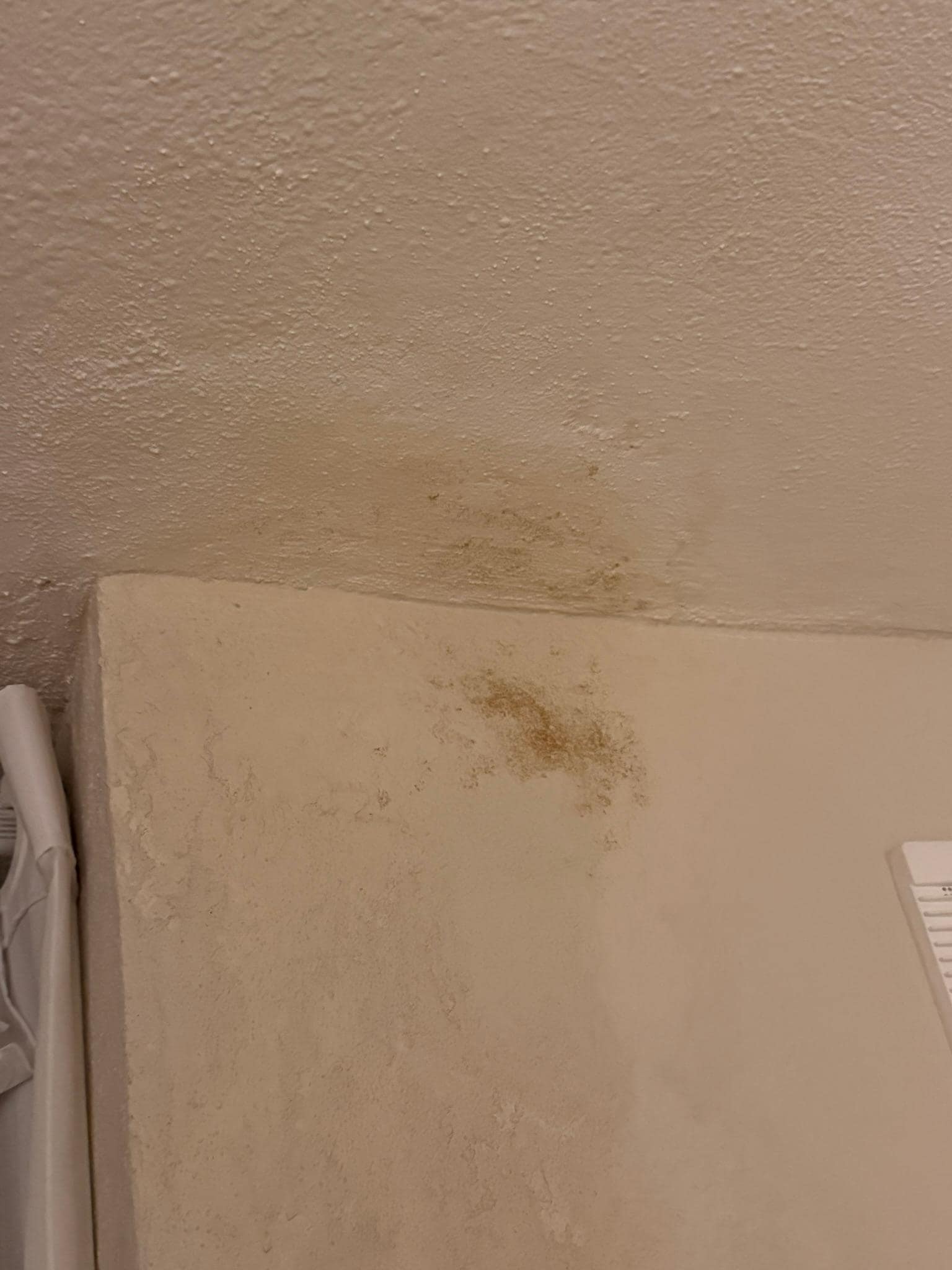 Mold in several places on the ceiling, and smelled of mold.