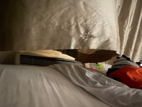 Curtain blowing over bed