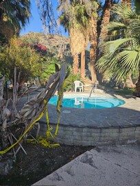 Palm Trees needing attention. We had to sweep the hot tub to sit in it without jets.