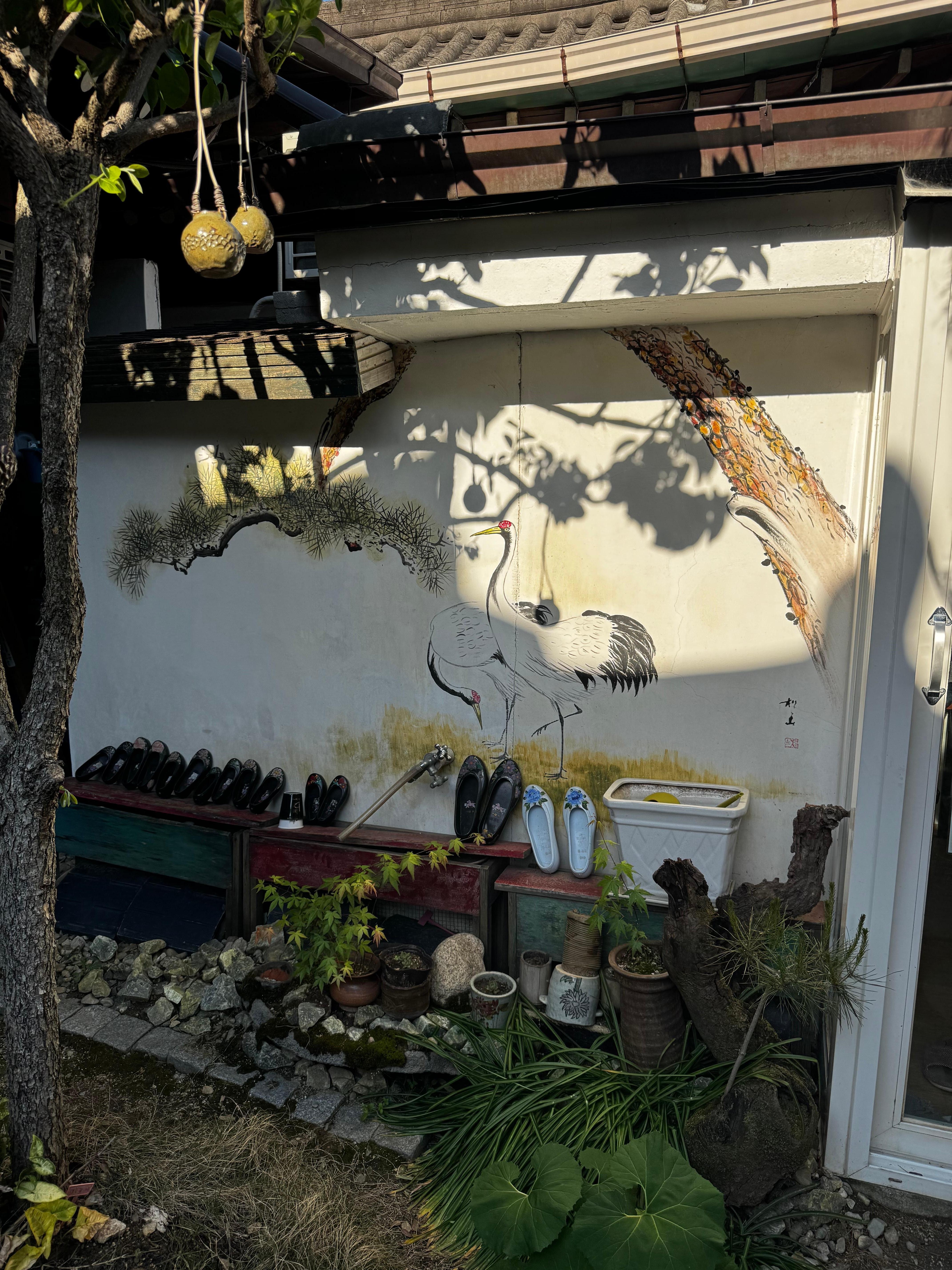 The garden