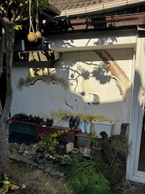 The garden