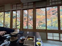 View from the dinning hall