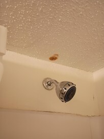 Spot above the shower