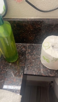 Place was not like the pictures on website don’t believe it.