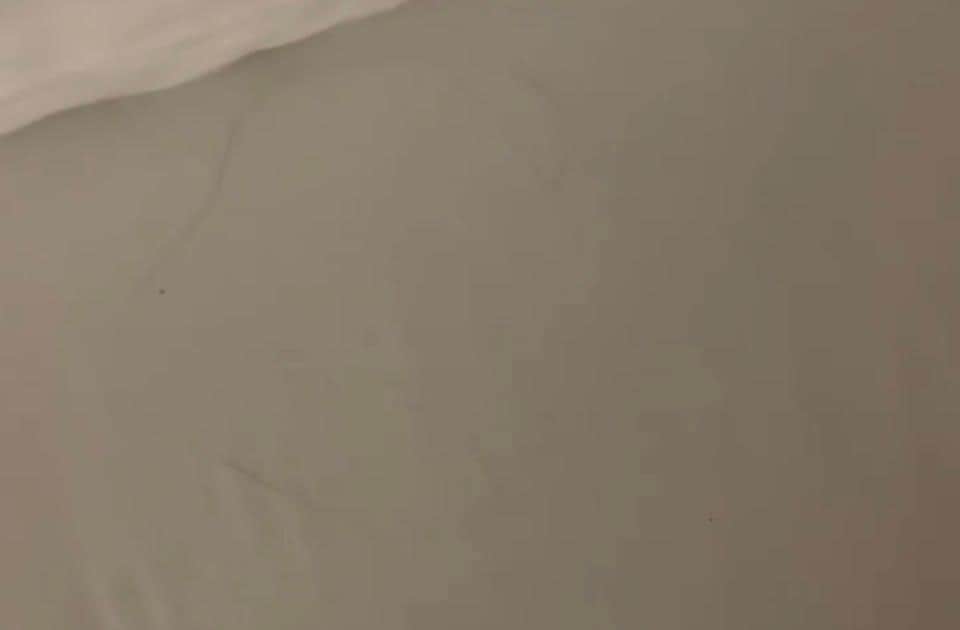 More human hair in our bed