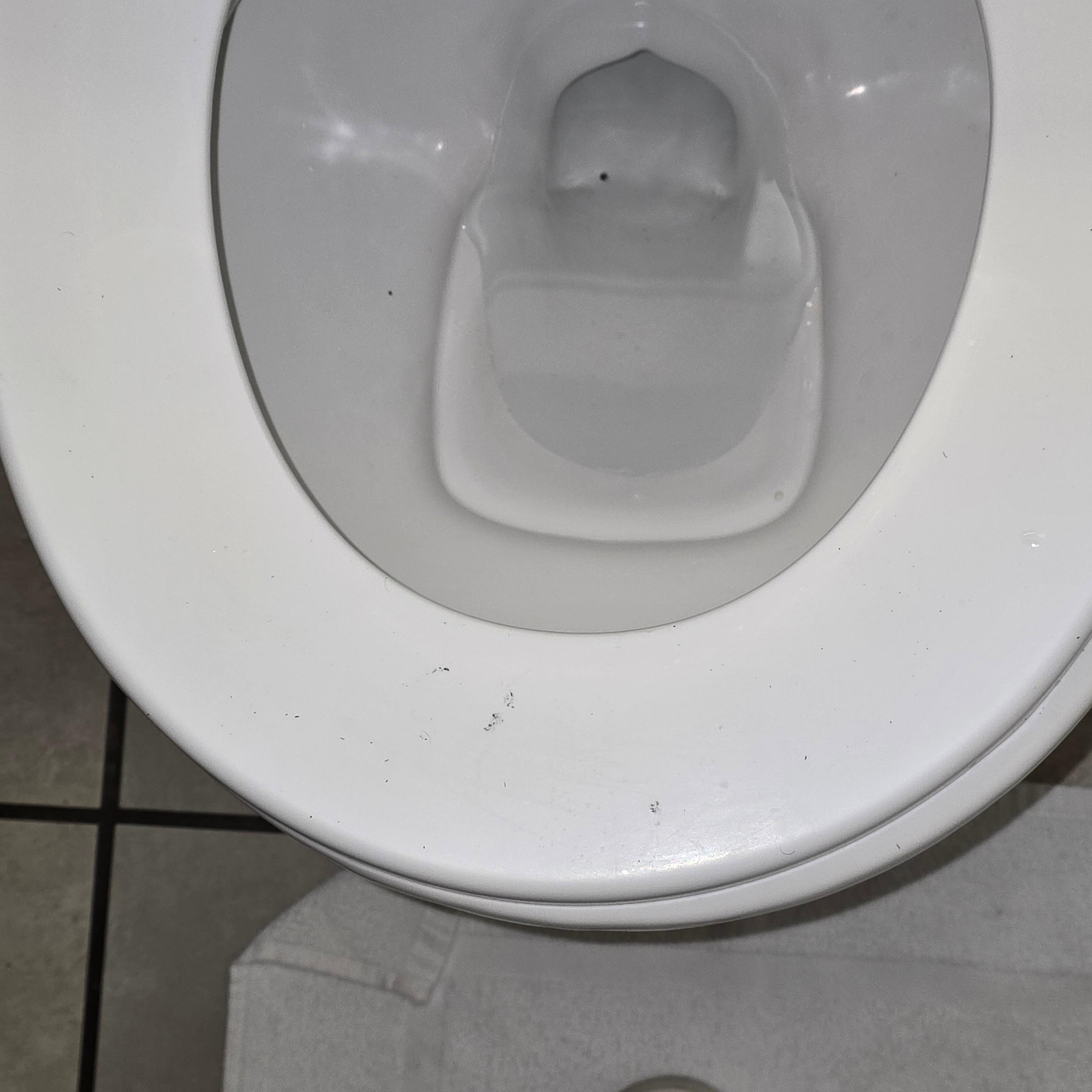 The toilet.  