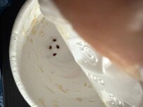 More ladybugs in a different cup. They were all over the ceiling, walls, curtains, window, and floor.