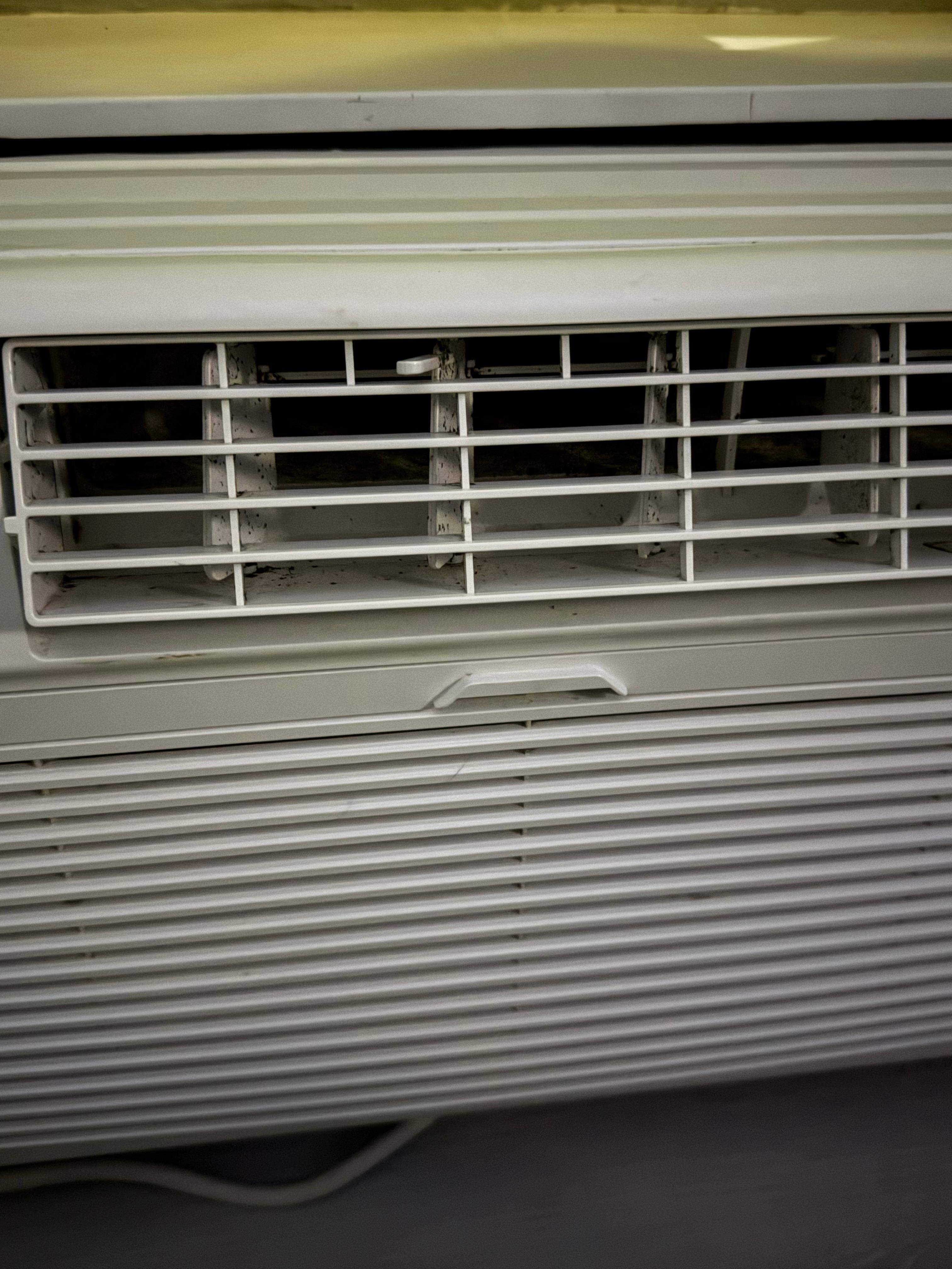 More black mold