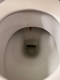 Une brosse de nettoyage serait utile parfois