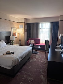 Very nice king room.