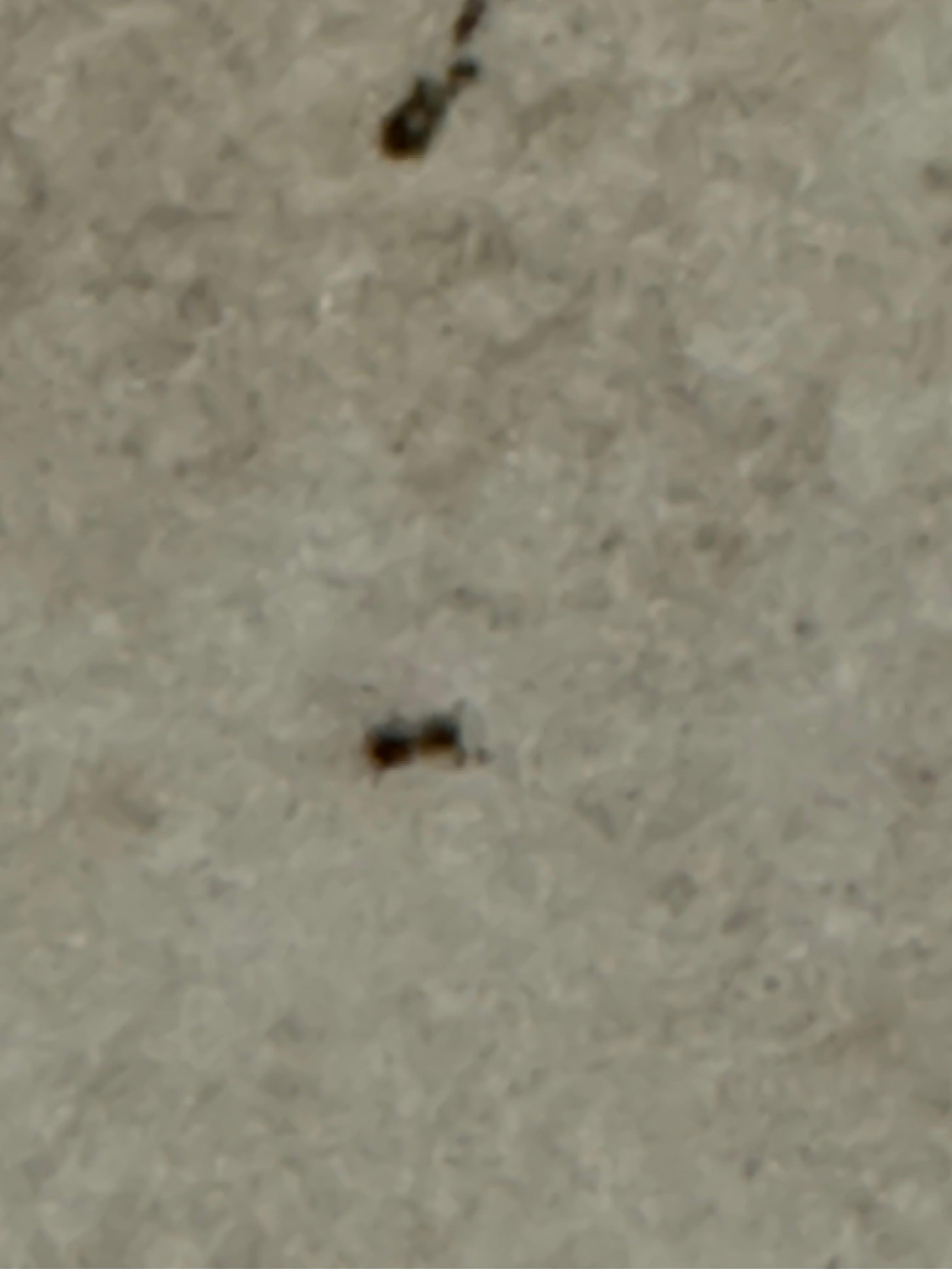 These along the walls of the bathrooms and u see the sink. 