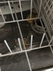 Dishwasher had food and stunk sour! When I attempted to rinse it through I found out 1) the door doesn’t fully open and 2) it doesn’t work anyway!