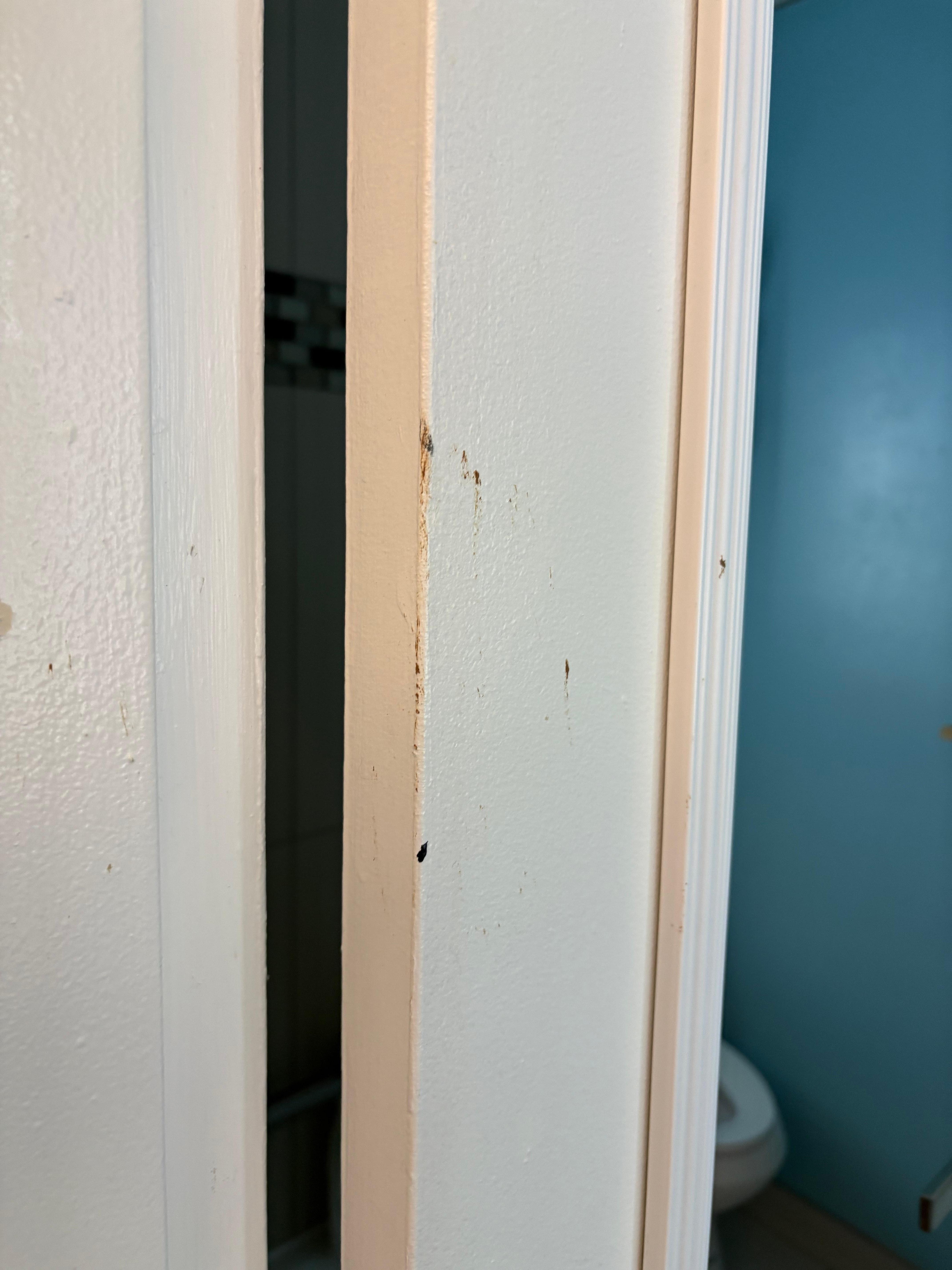 Looks like dried poop on door.