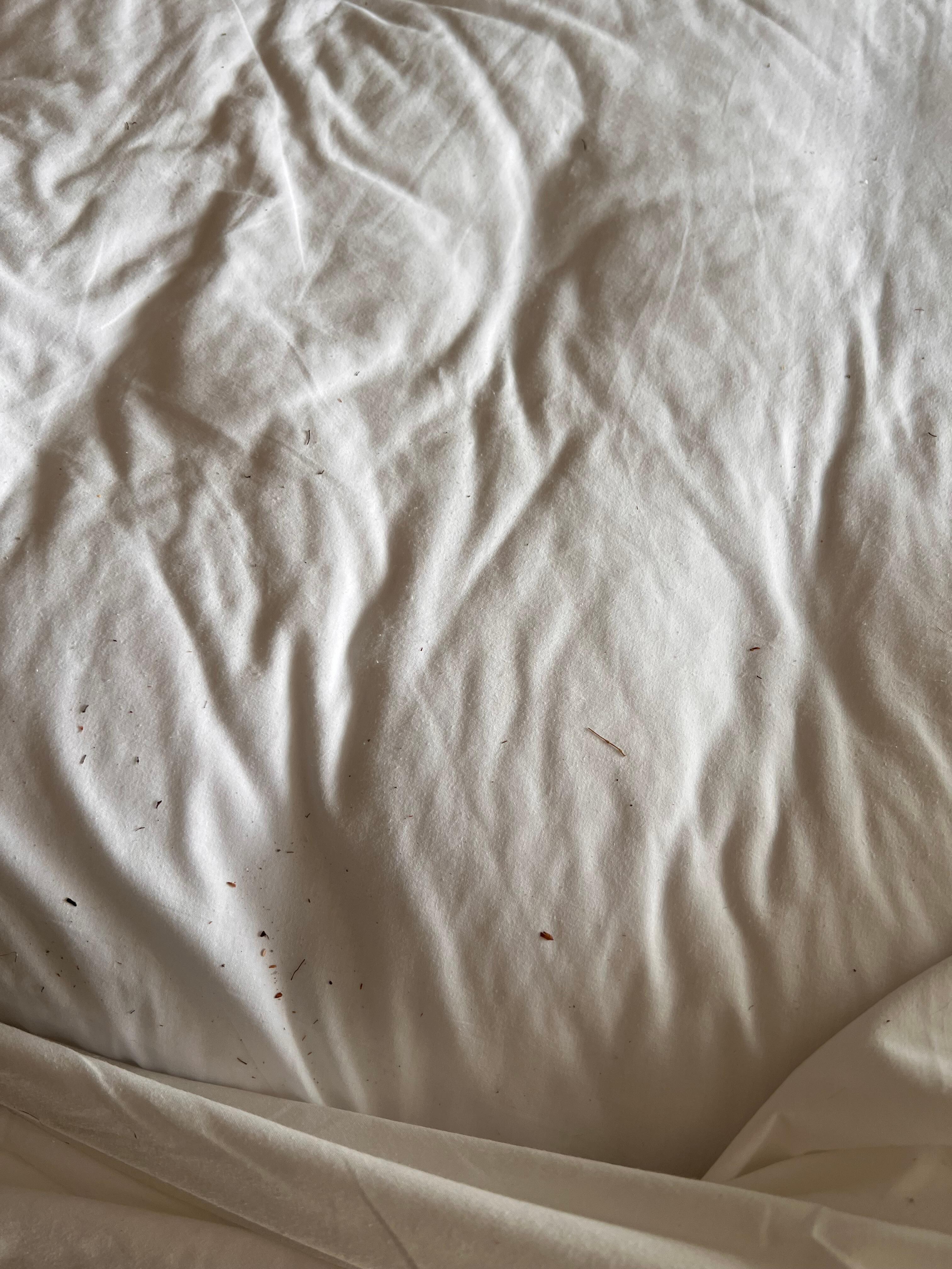Sheets not changed out