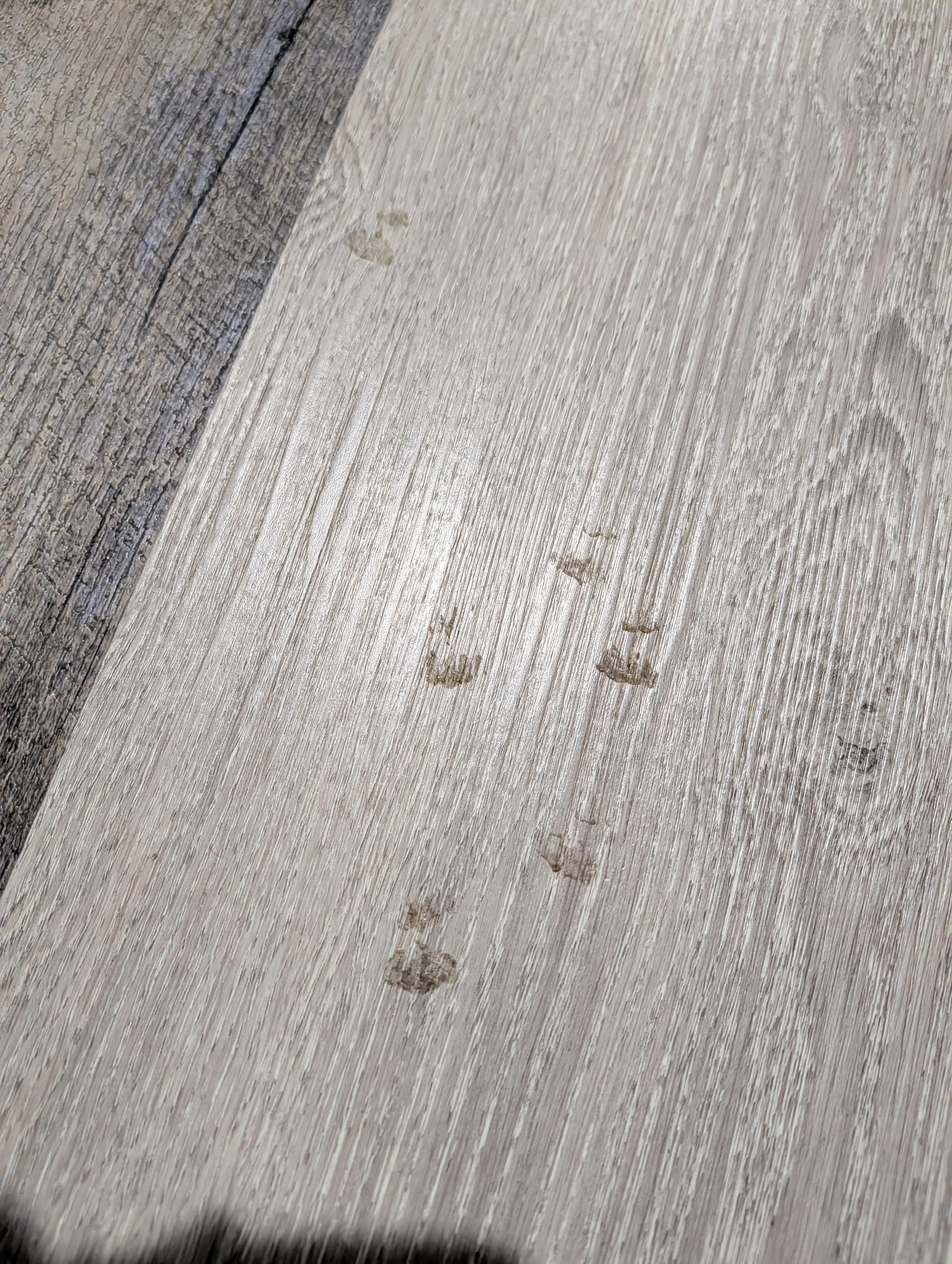 Sticky spots on the floor