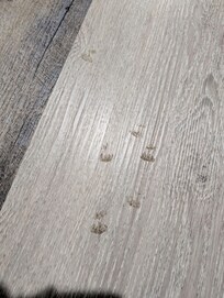 Sticky spots on the floor