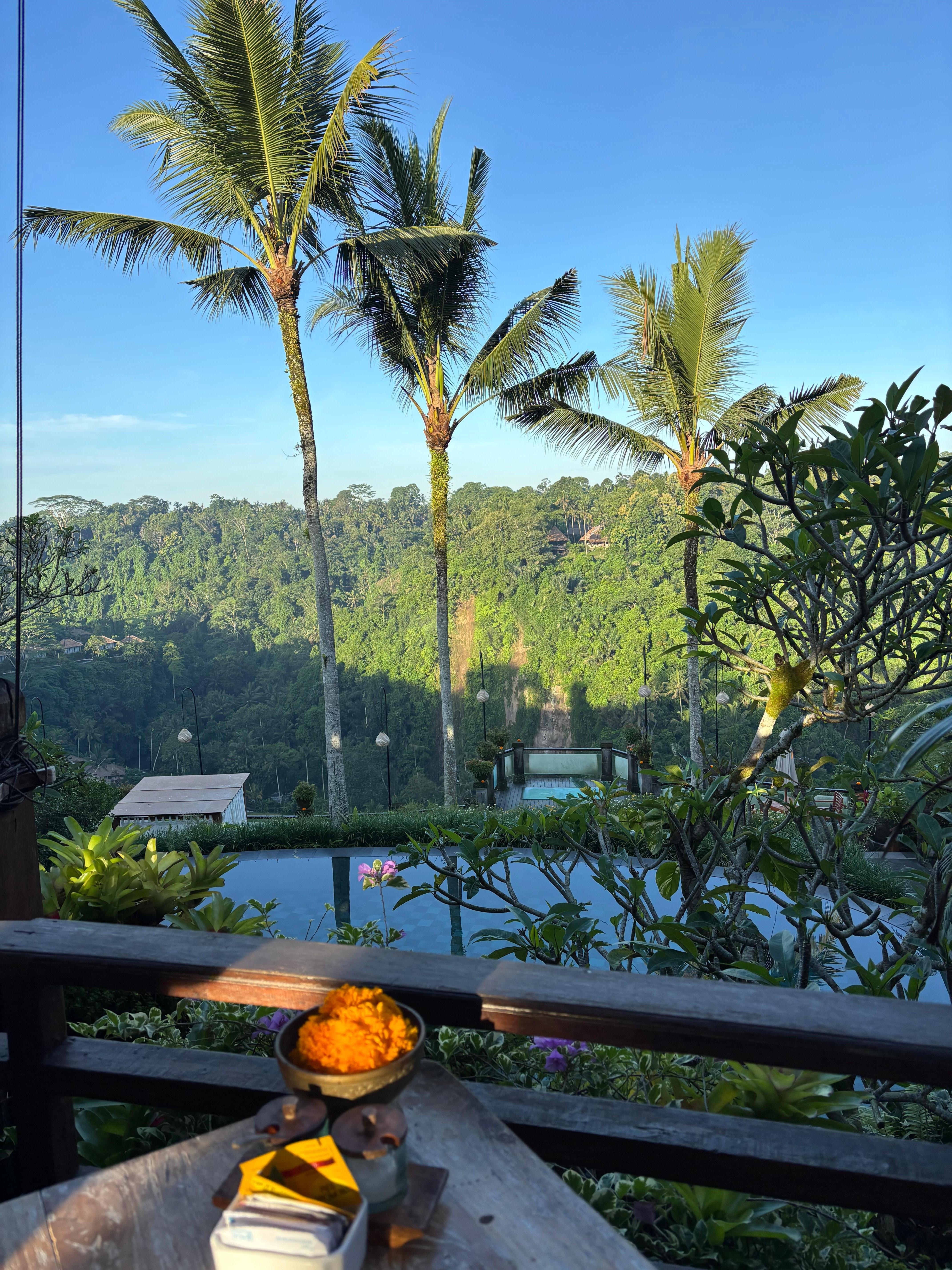 View from the restaurant 