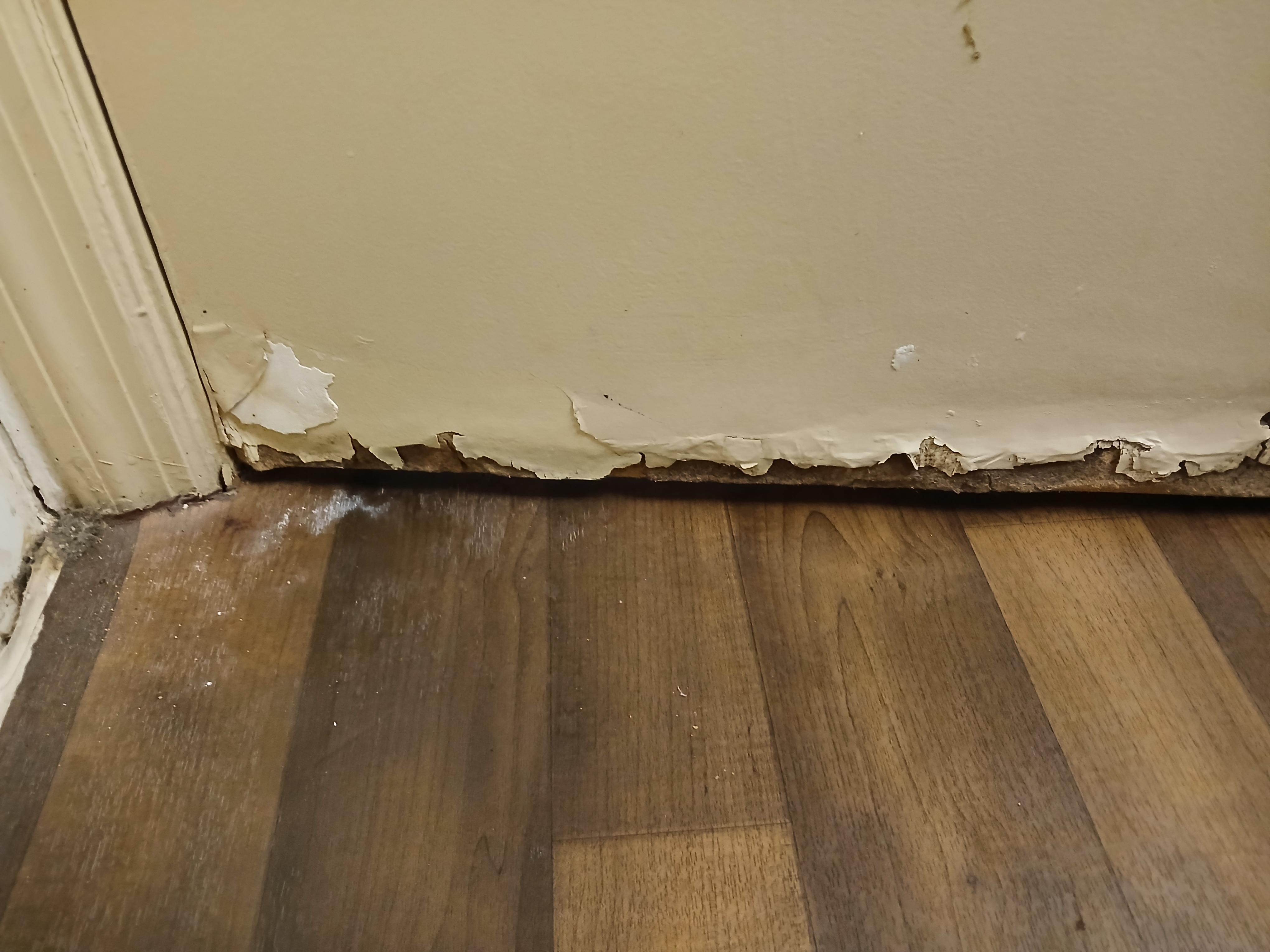 Bottom of bathroom door