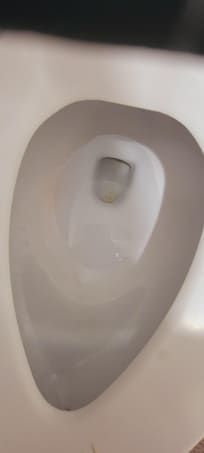 Toilet had stains and smelled bad and yes I had to clean it myself and it all came off