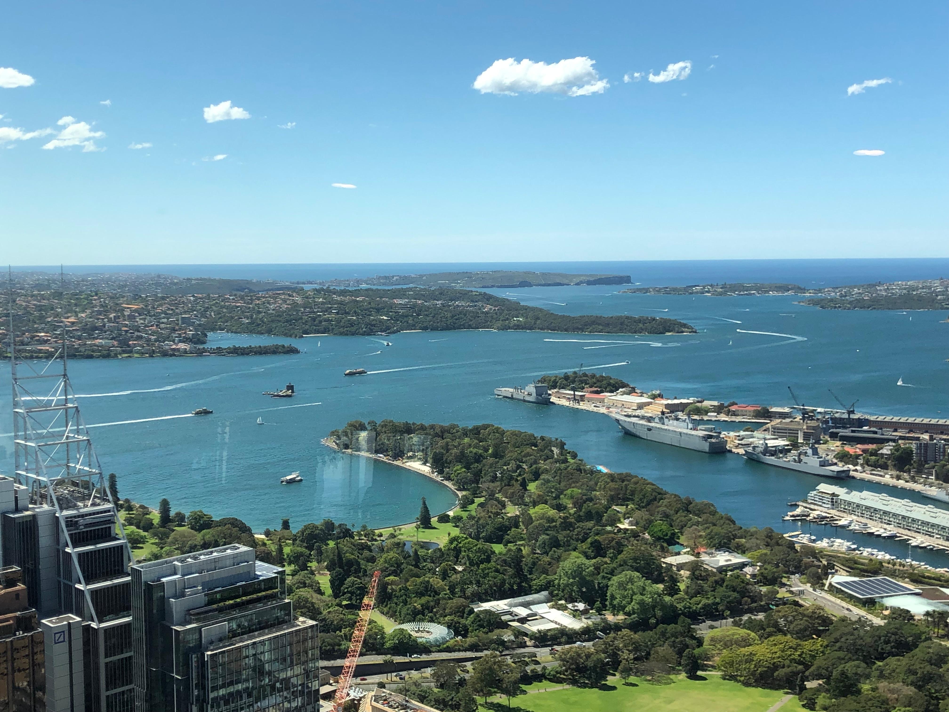 Vue sur la baie de Sydney à partir de la Tower