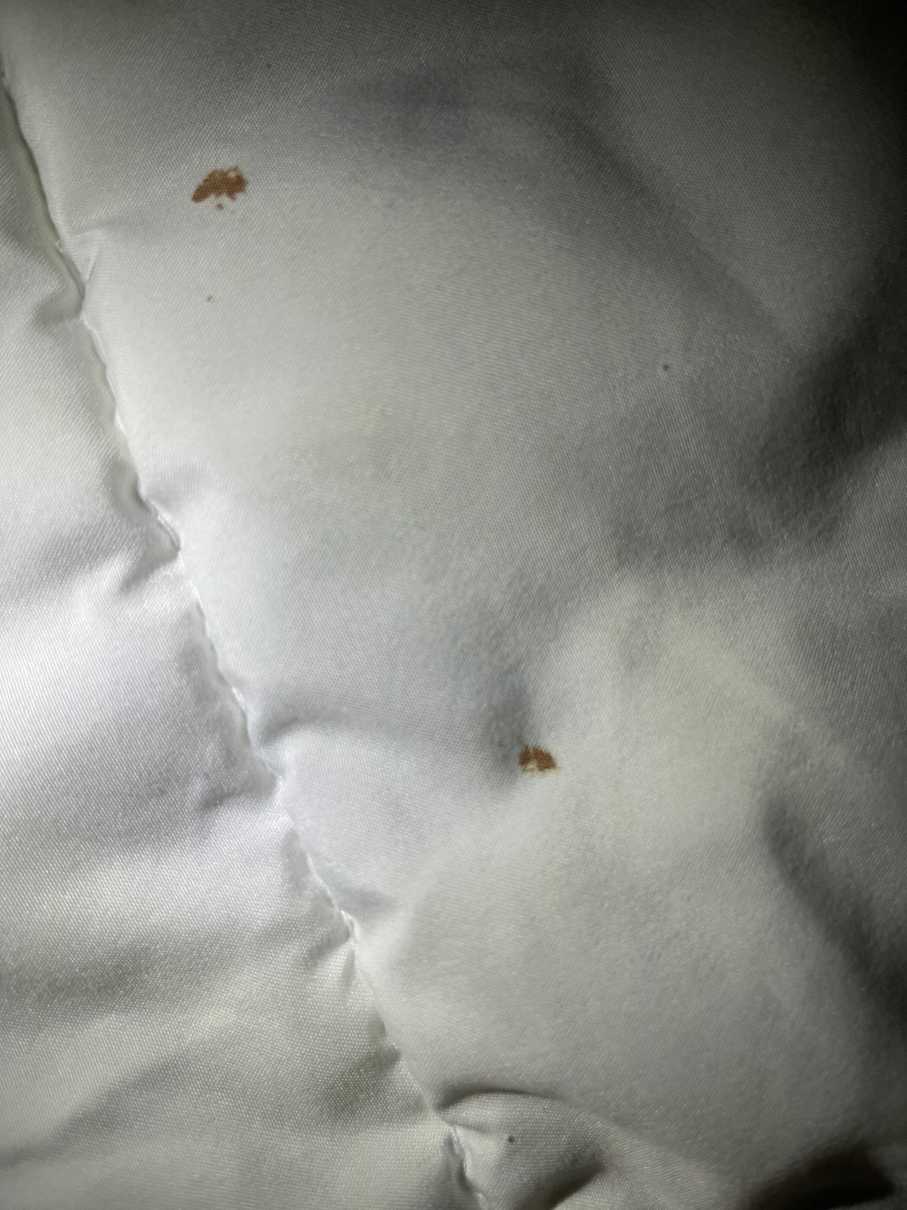 Stains on top cover look like blood