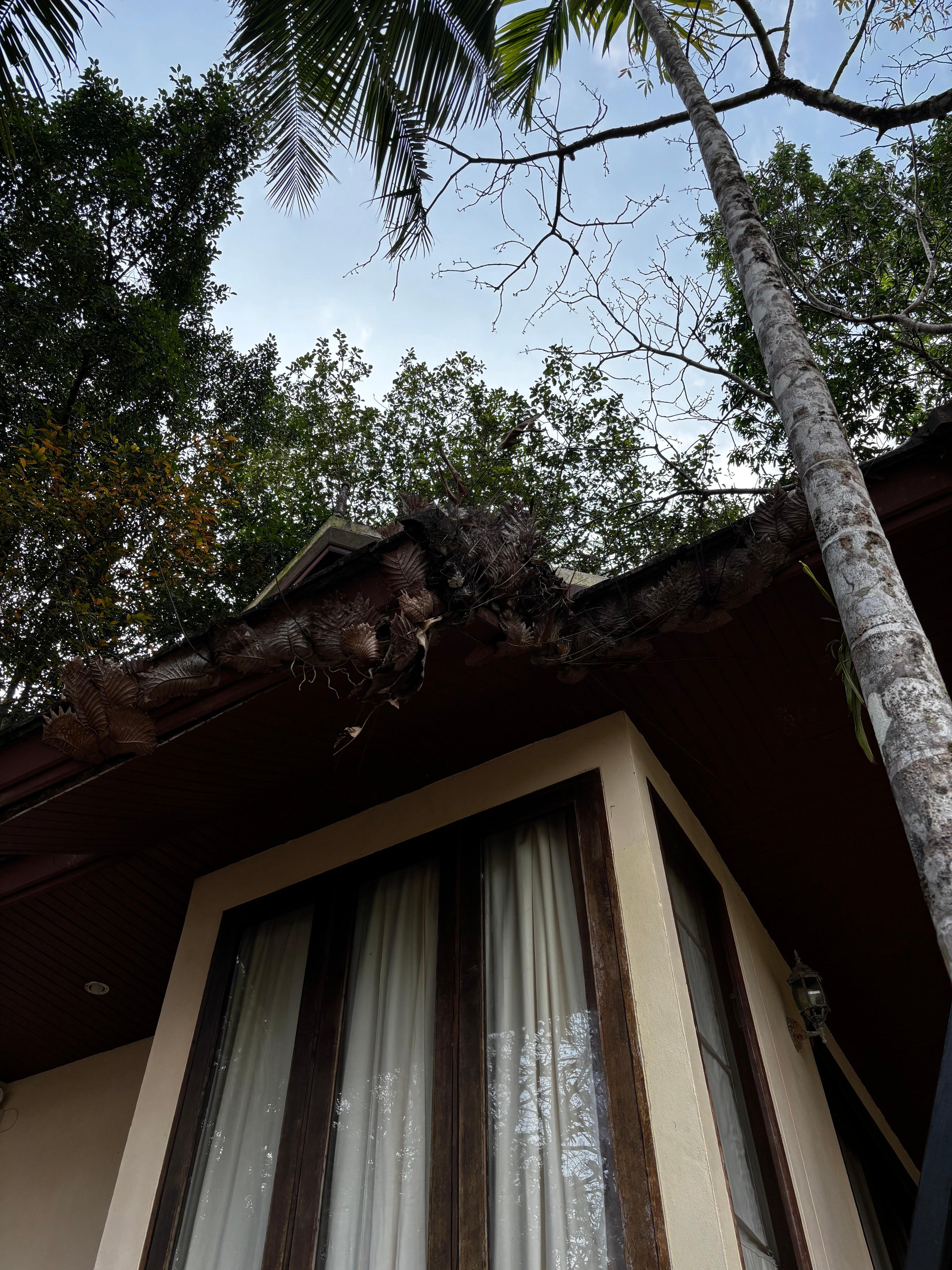 “Villaen” mangler i den grad vedligeholdelse og er ved at falde fra hinanden!