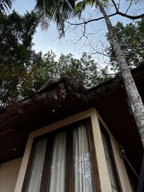 “Villaen” mangler i den grad vedligeholdelse og er ved at falde fra hinanden!