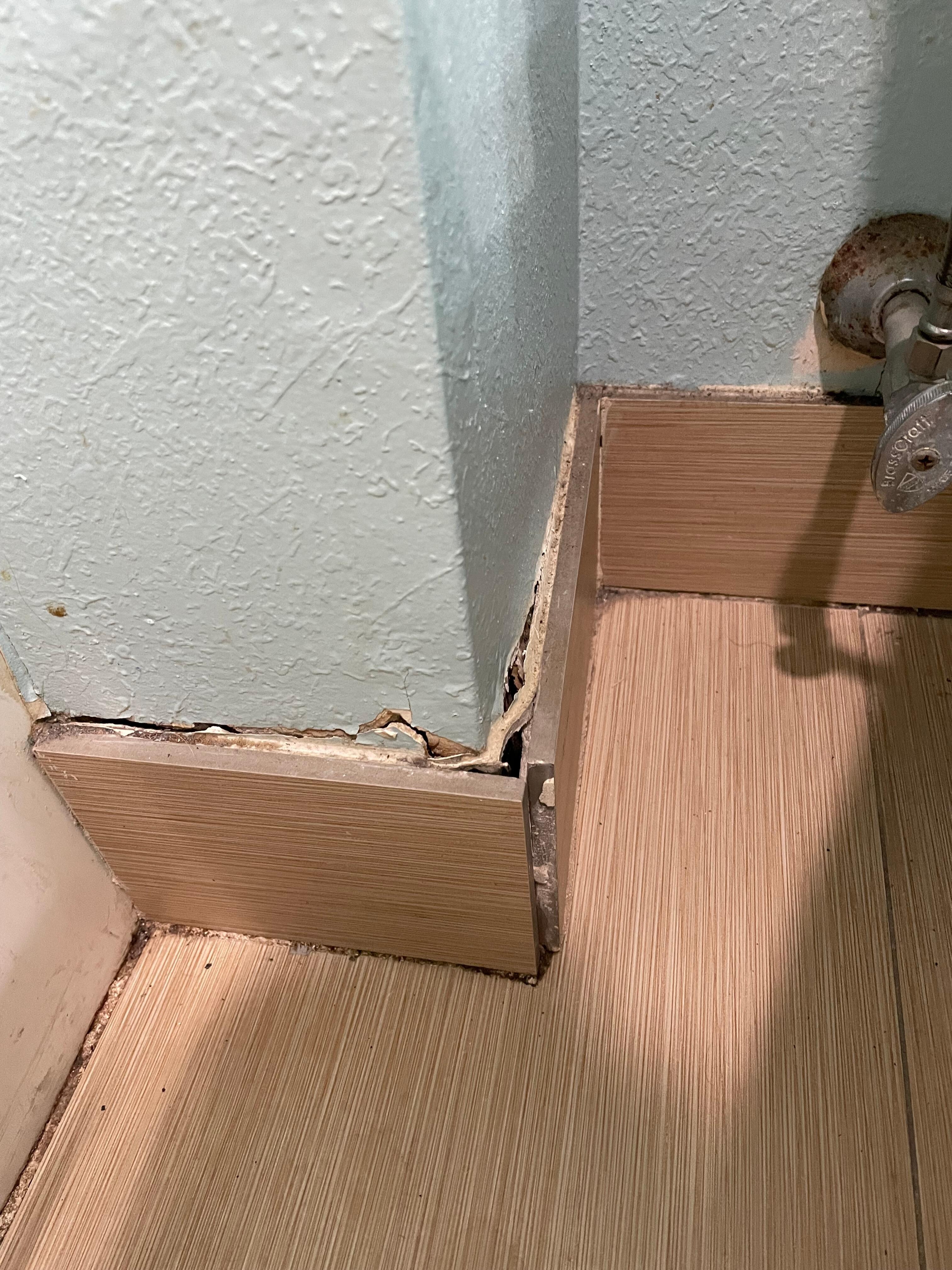 Tile coming off. Dirty,mold?