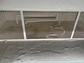 Ceiling above sink with mold and damaged wallpaper