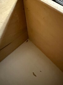 I managed to get one