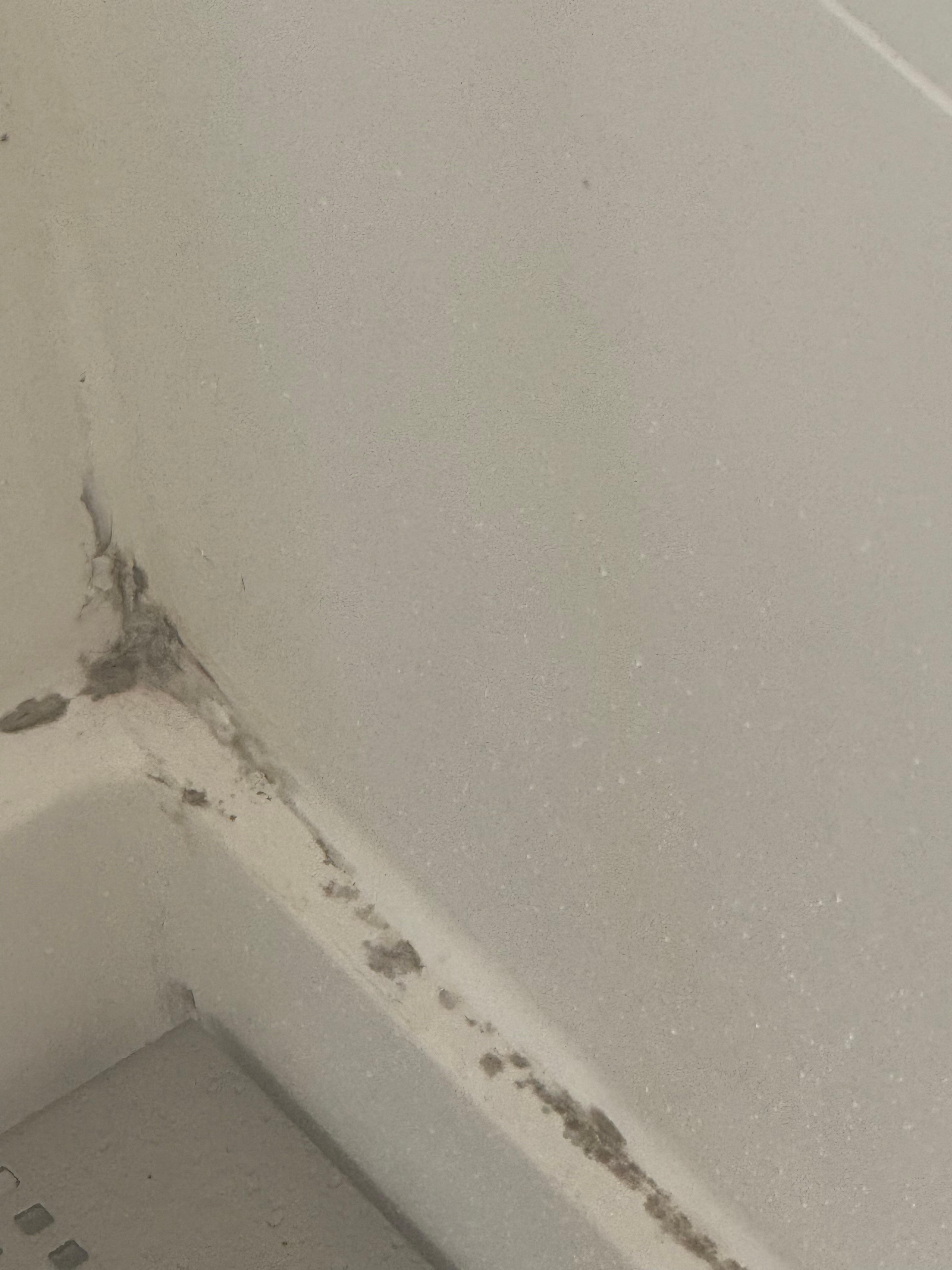 Look how filthy this shower is🤮