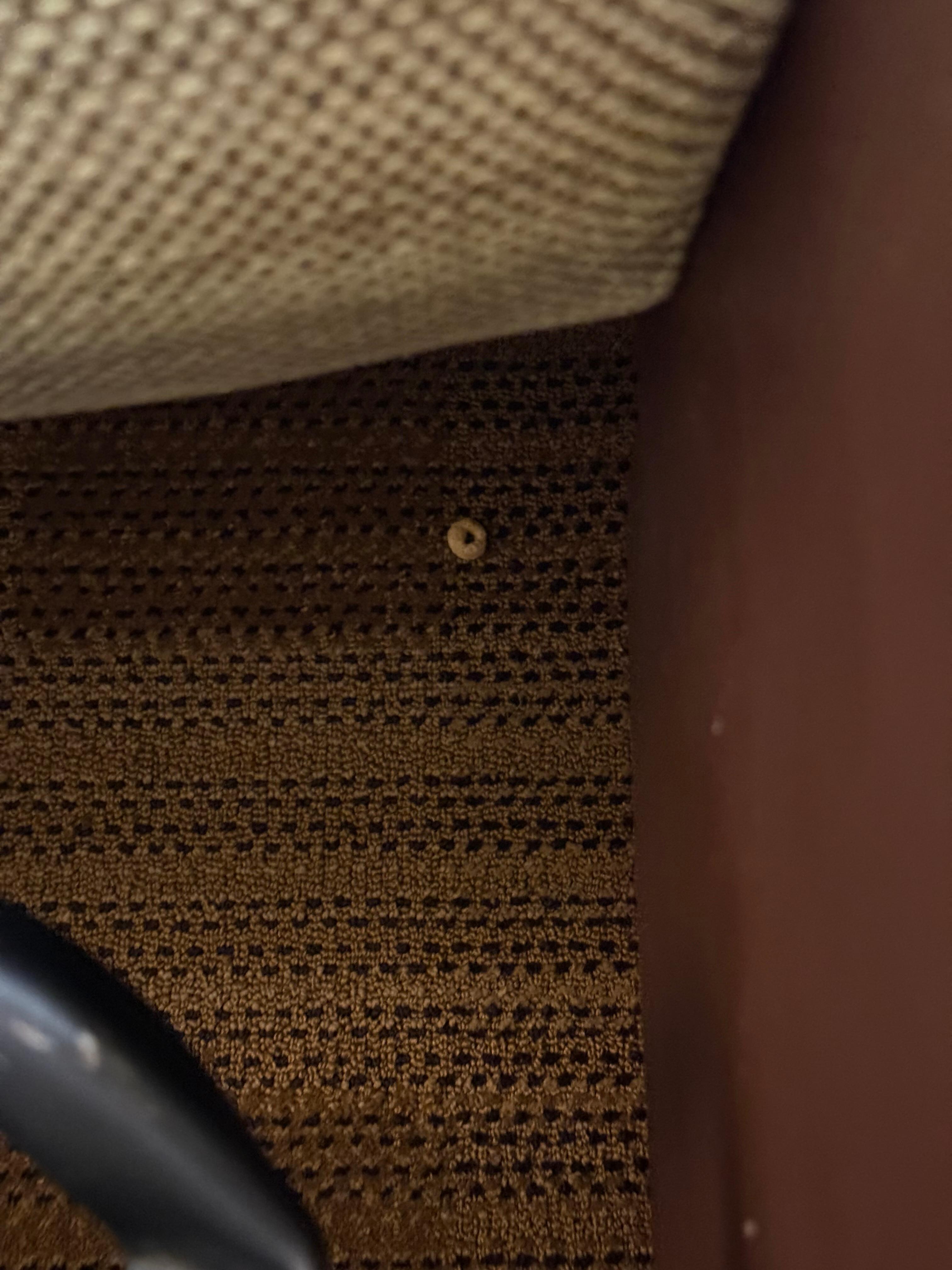 Cheerios under the couch.