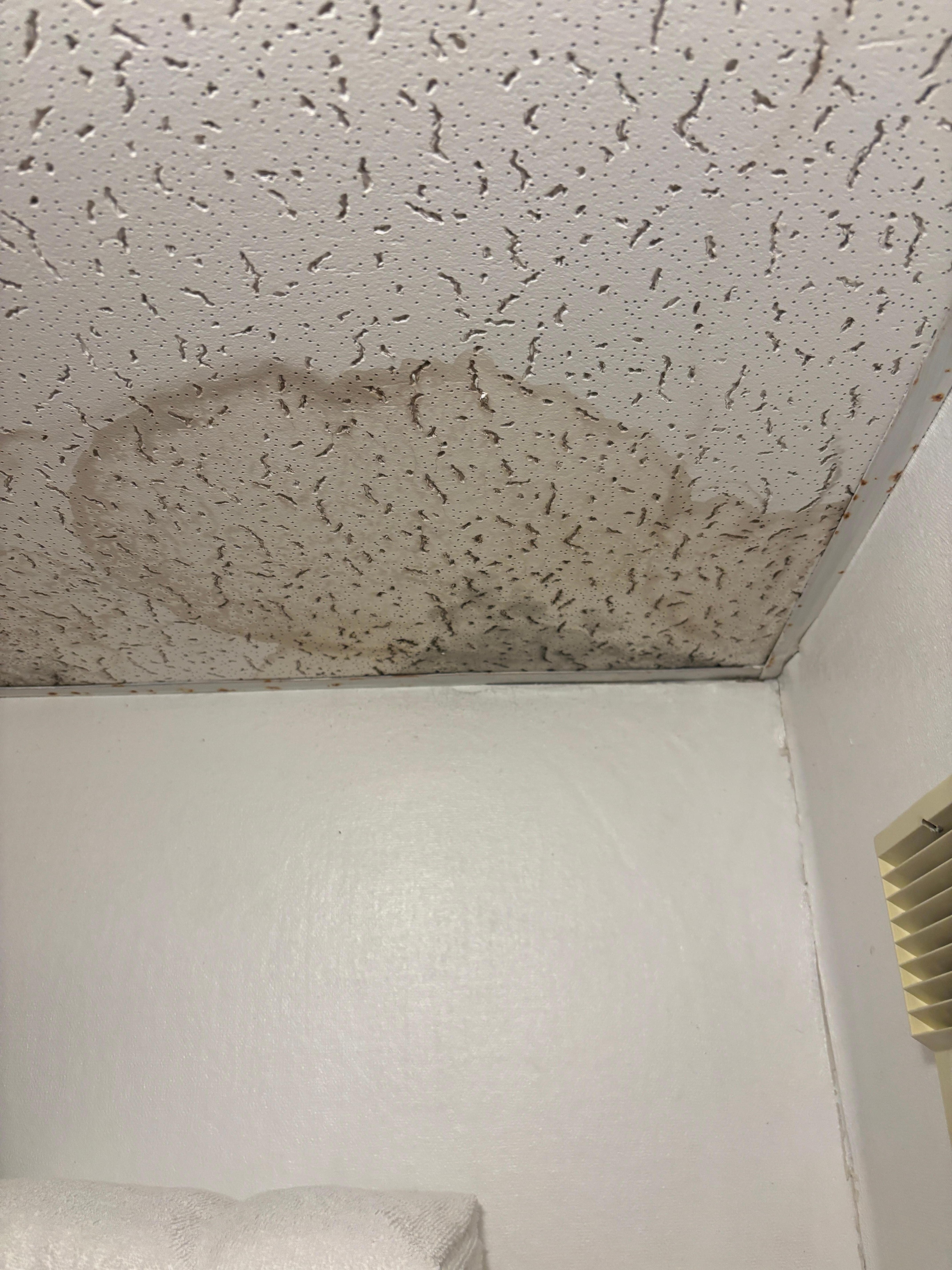 Bathroom ceiling 