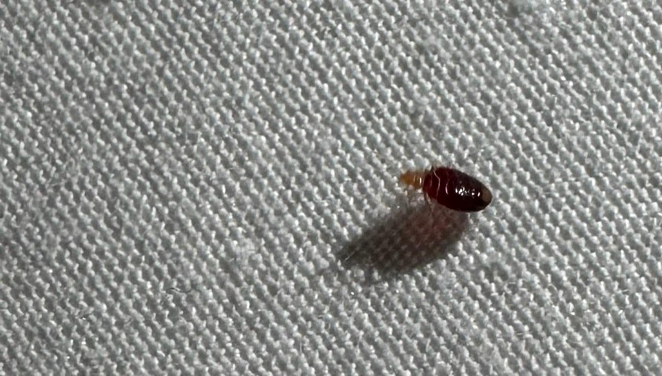 This is disgusting!!