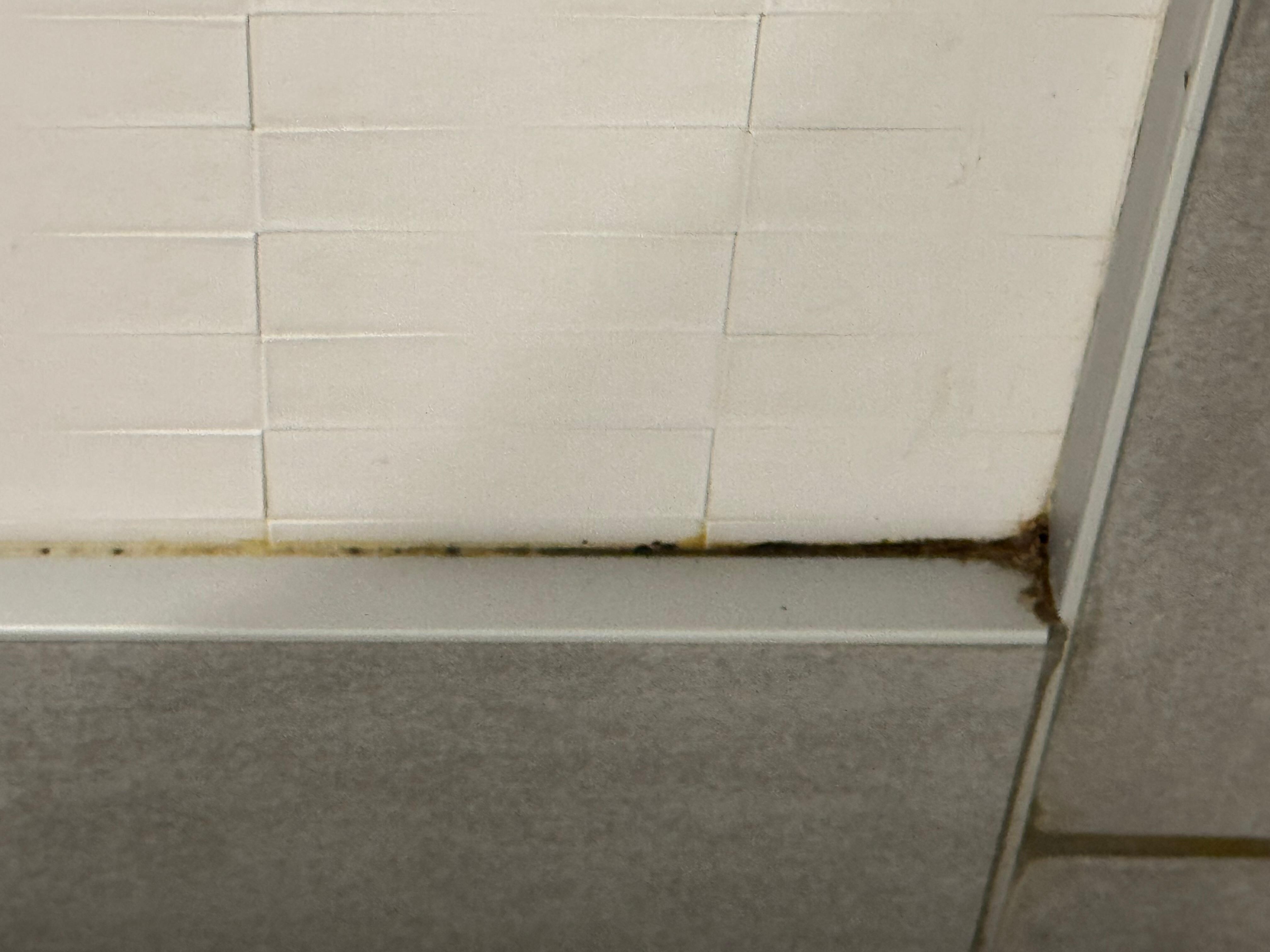 On baseboard in bathroom.