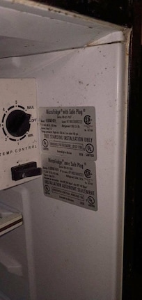 Roach eggs in the fridge