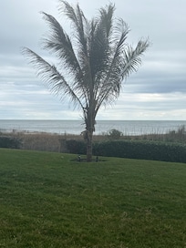 1st floor view, step out on lawn, short walk to beach. But you can barely see the ocean from the cabana rooms