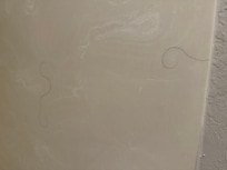 Hair on shower walls from previous guest..