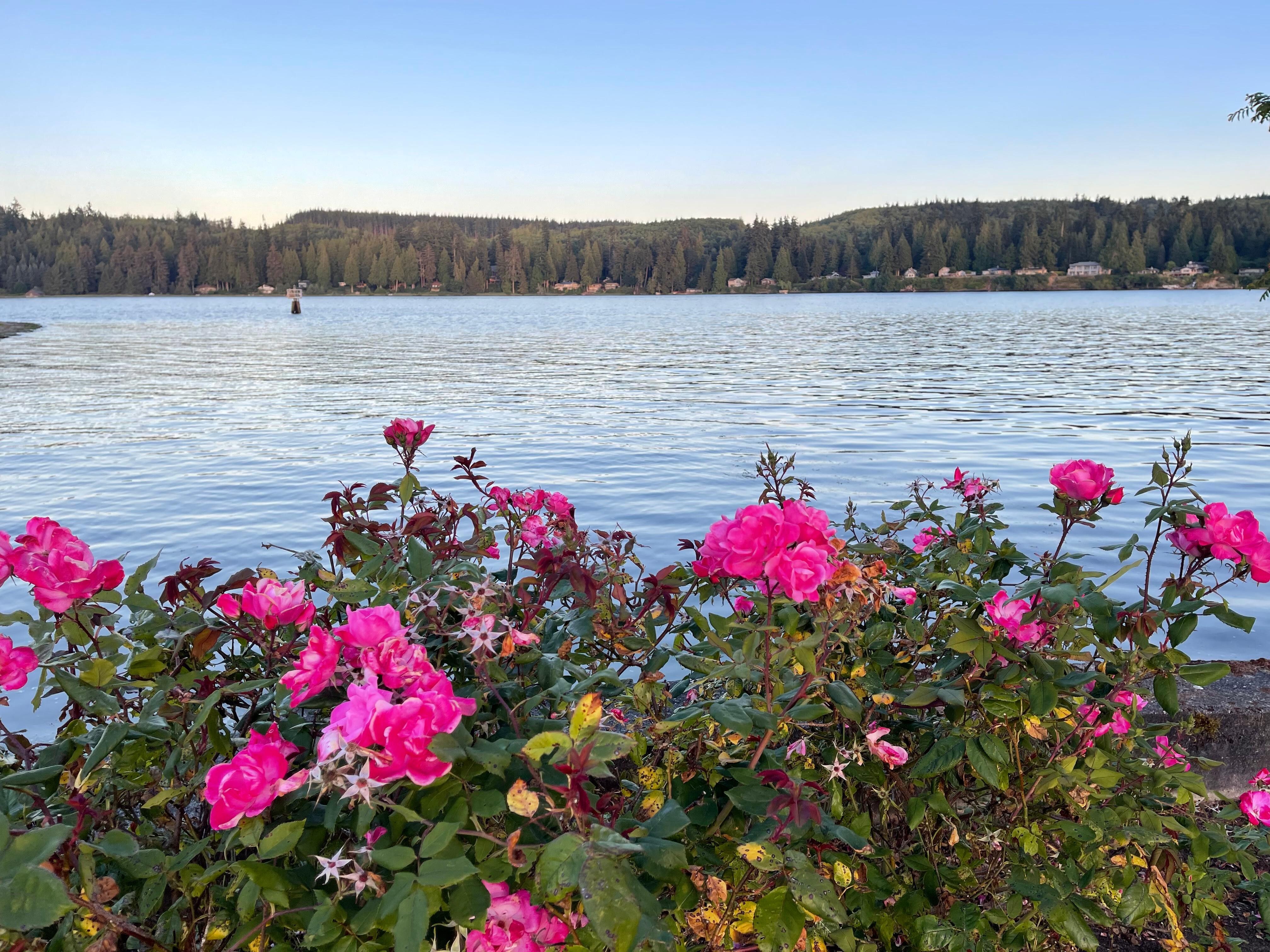 Book The Resort at Port Ludlow in Port Ludlow | Hotels.com