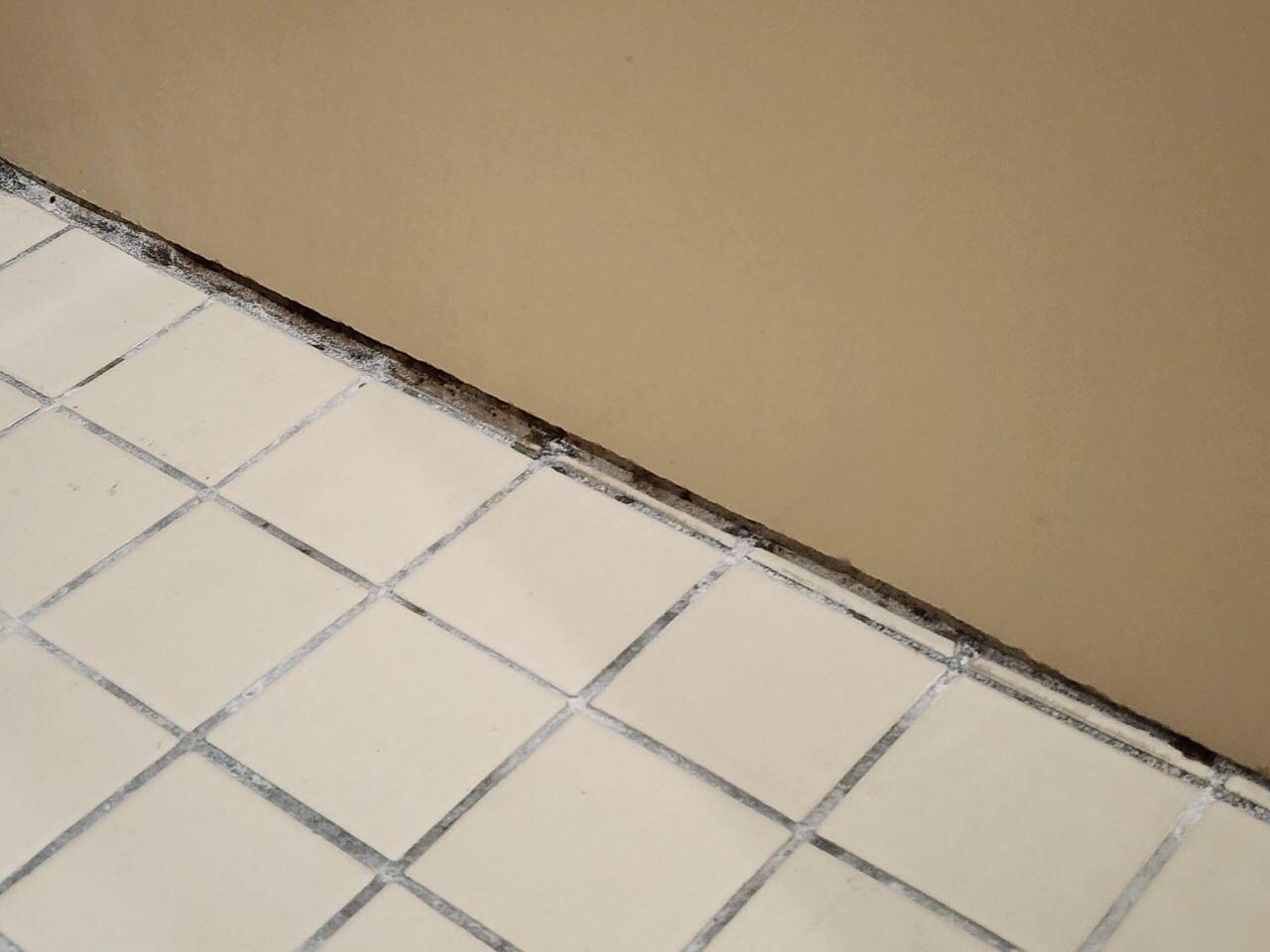 Dirthy or Molded caulking 