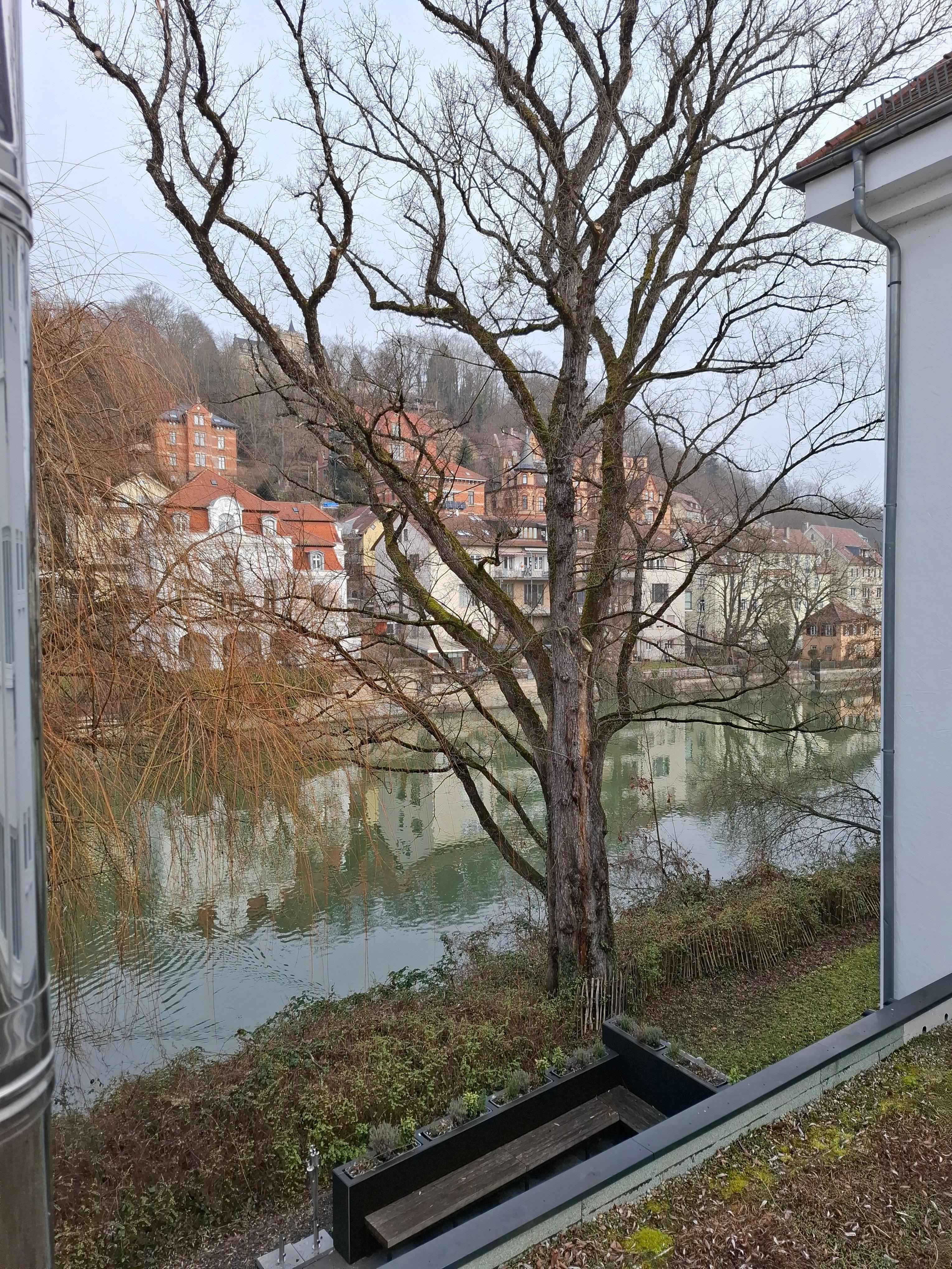 View from single room