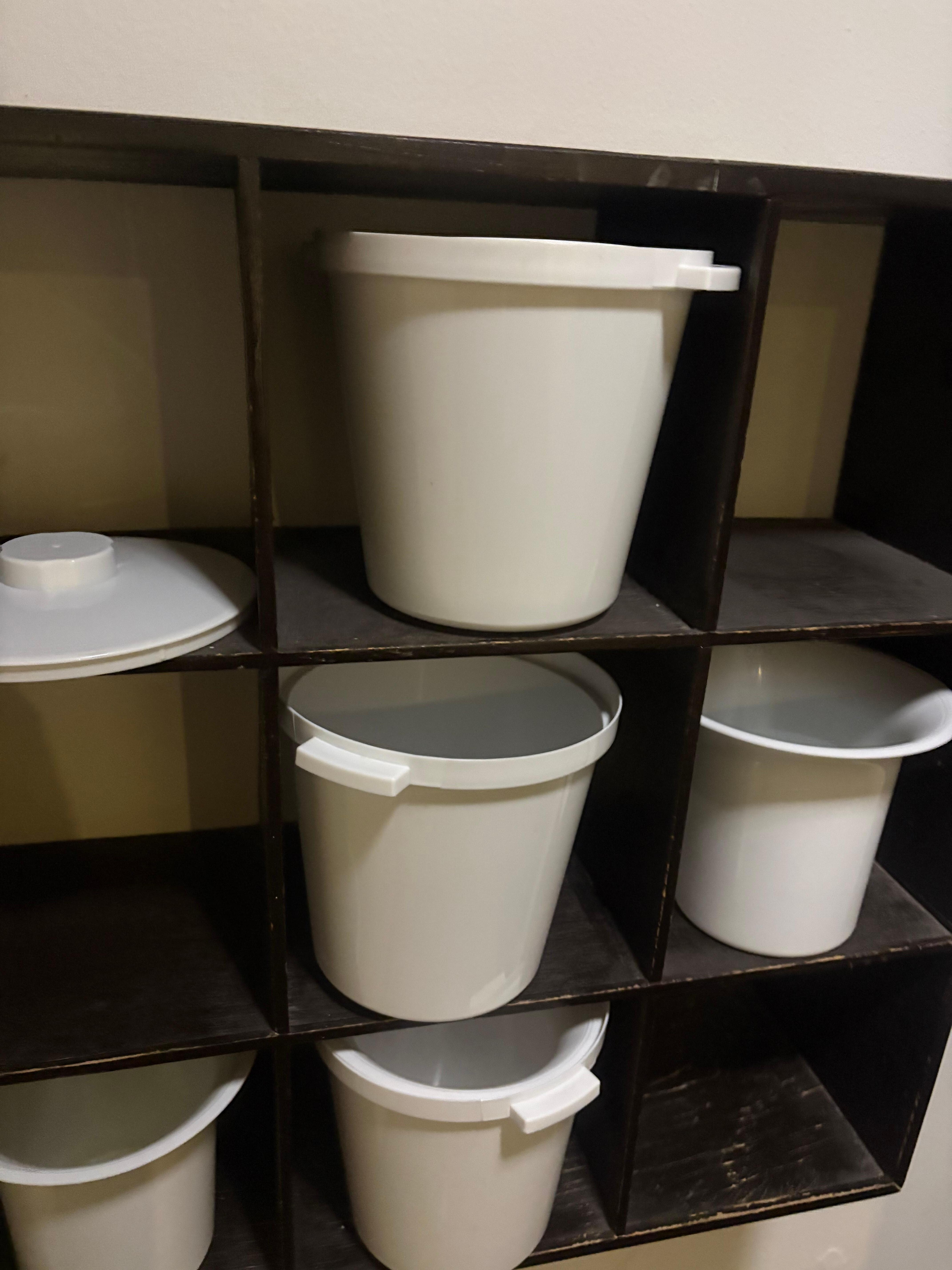 Sucias con agua estancada 