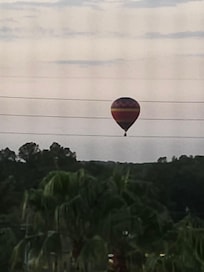 Literally looking out from the lanai.