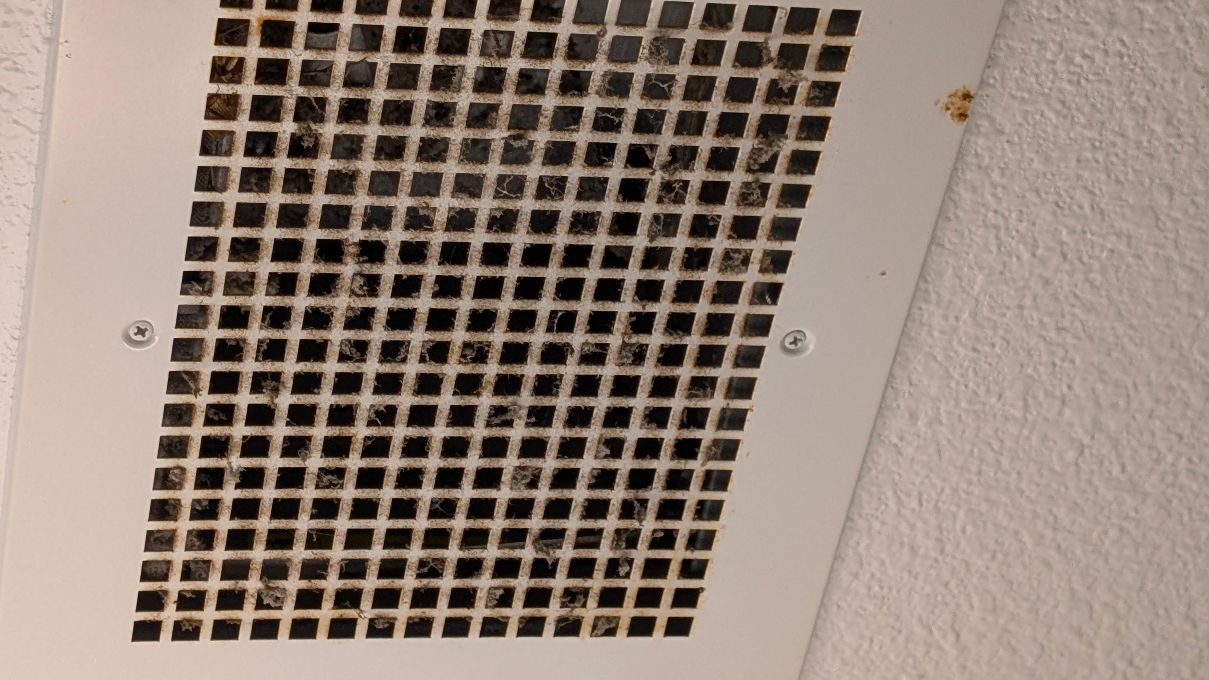 This is the bench in the bathroom