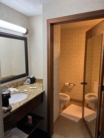 Black mold around shower