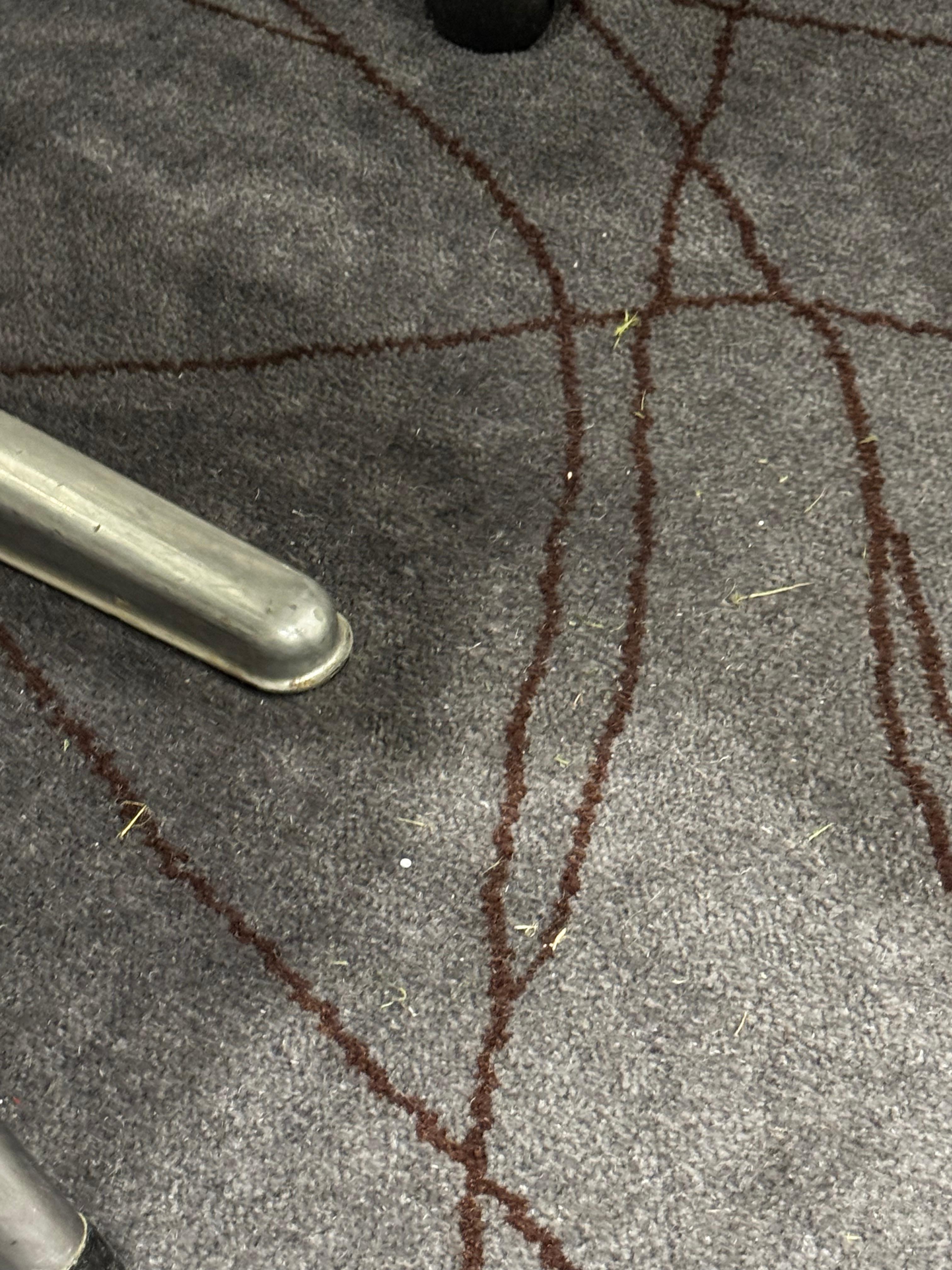 No vacuuming 