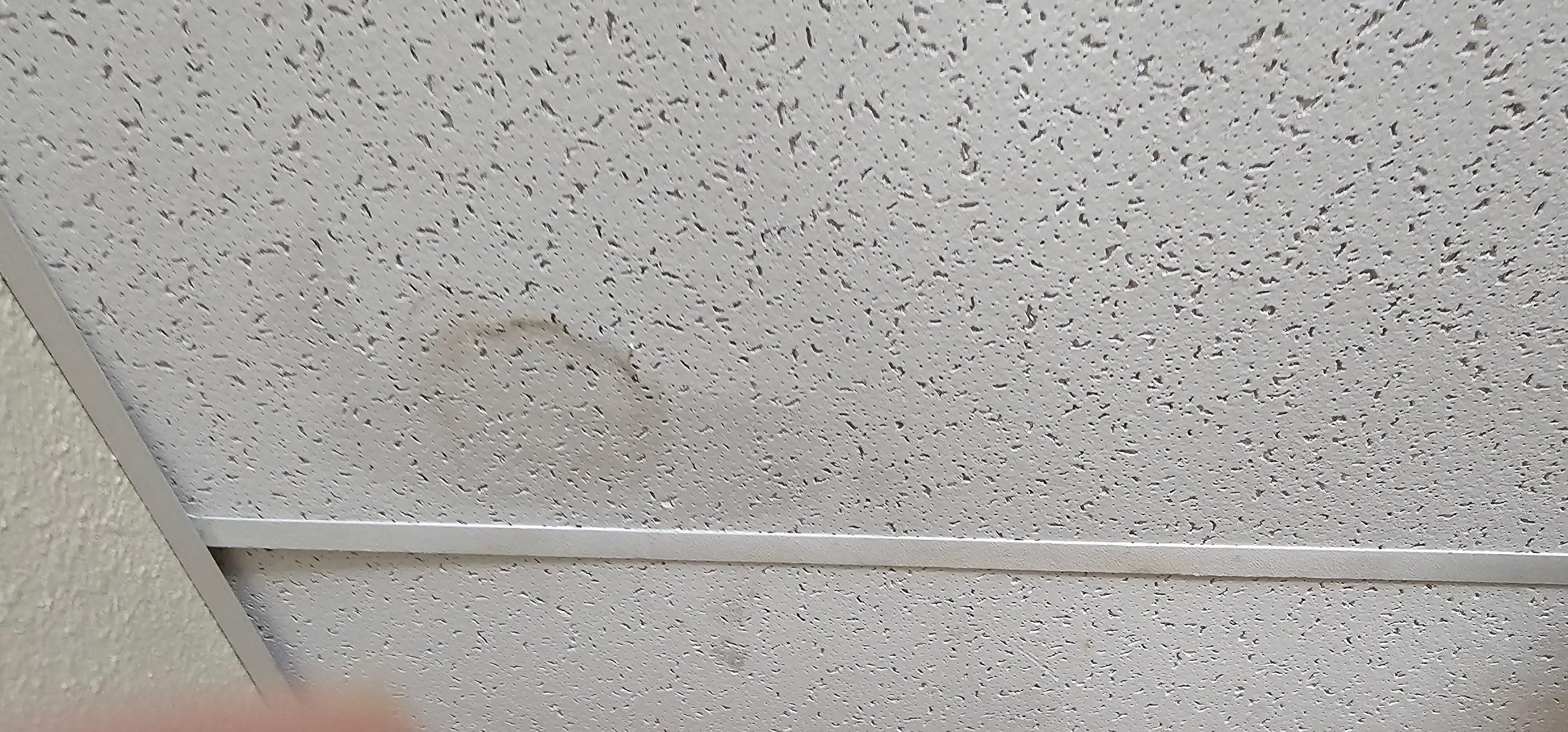 Mold
