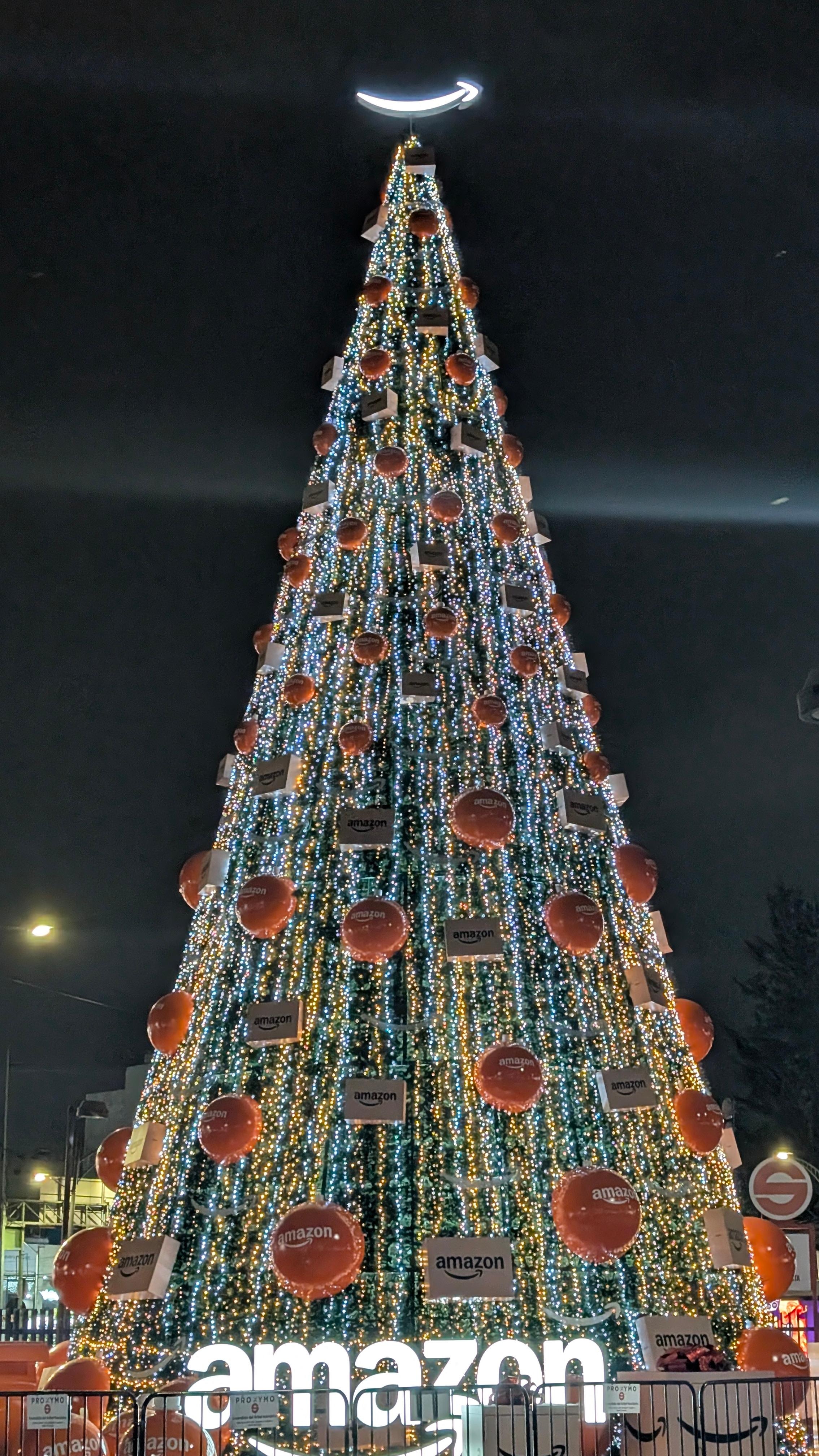 Amazon tree in the nearby Buena Vista mall