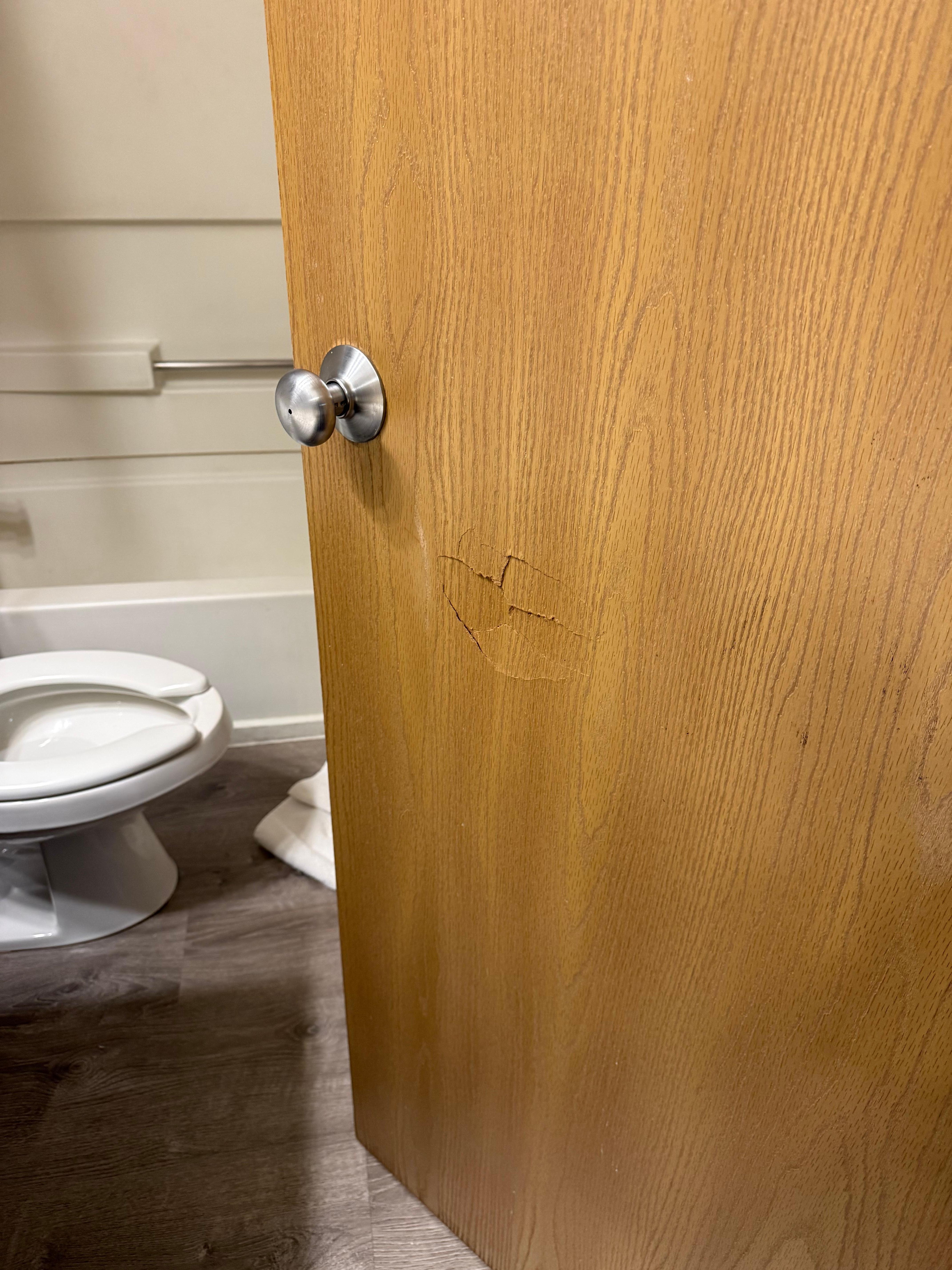 Bashed in bathroom door