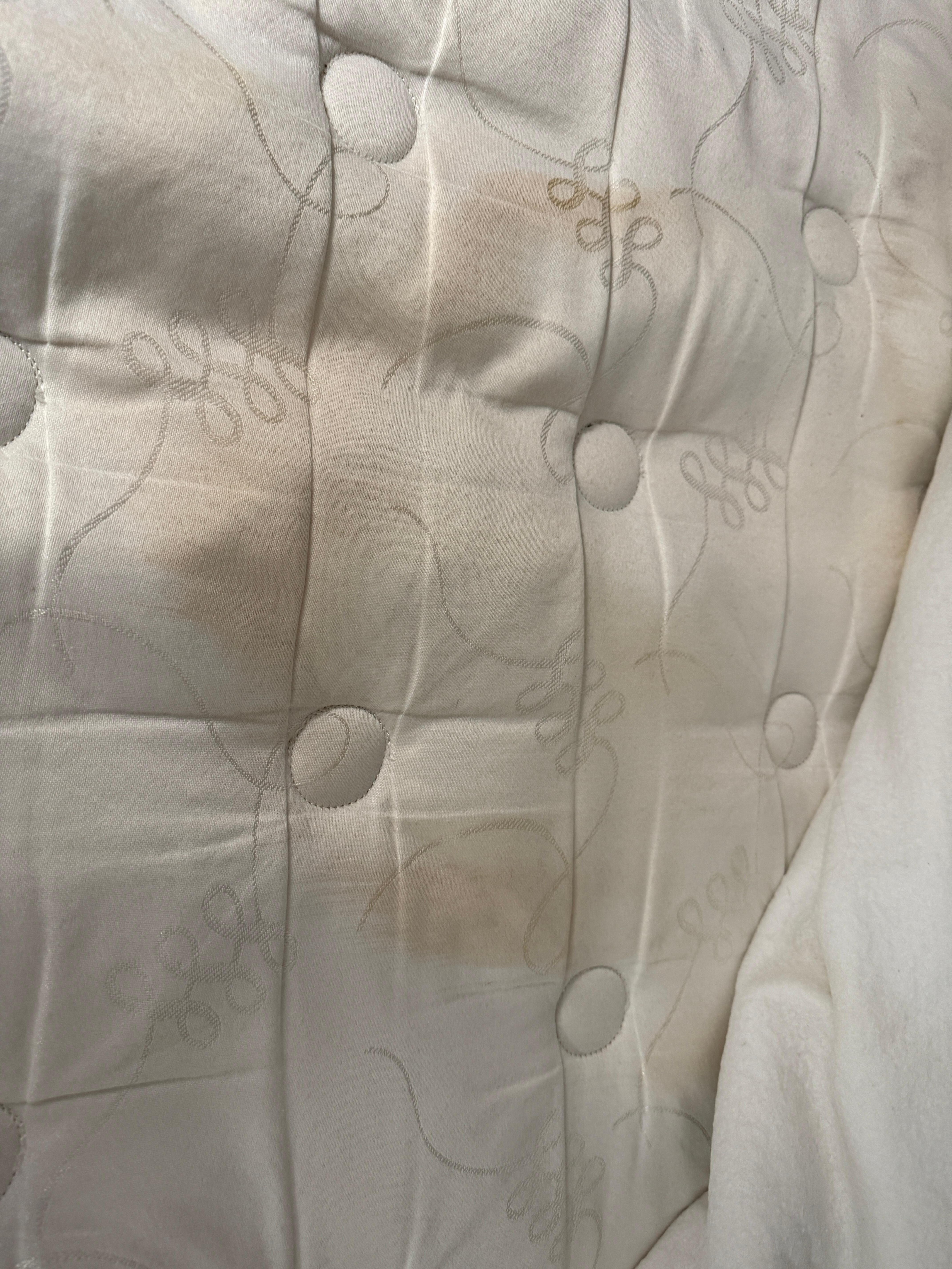 Bed smelled of piss and was so stained bed had springs you could feel